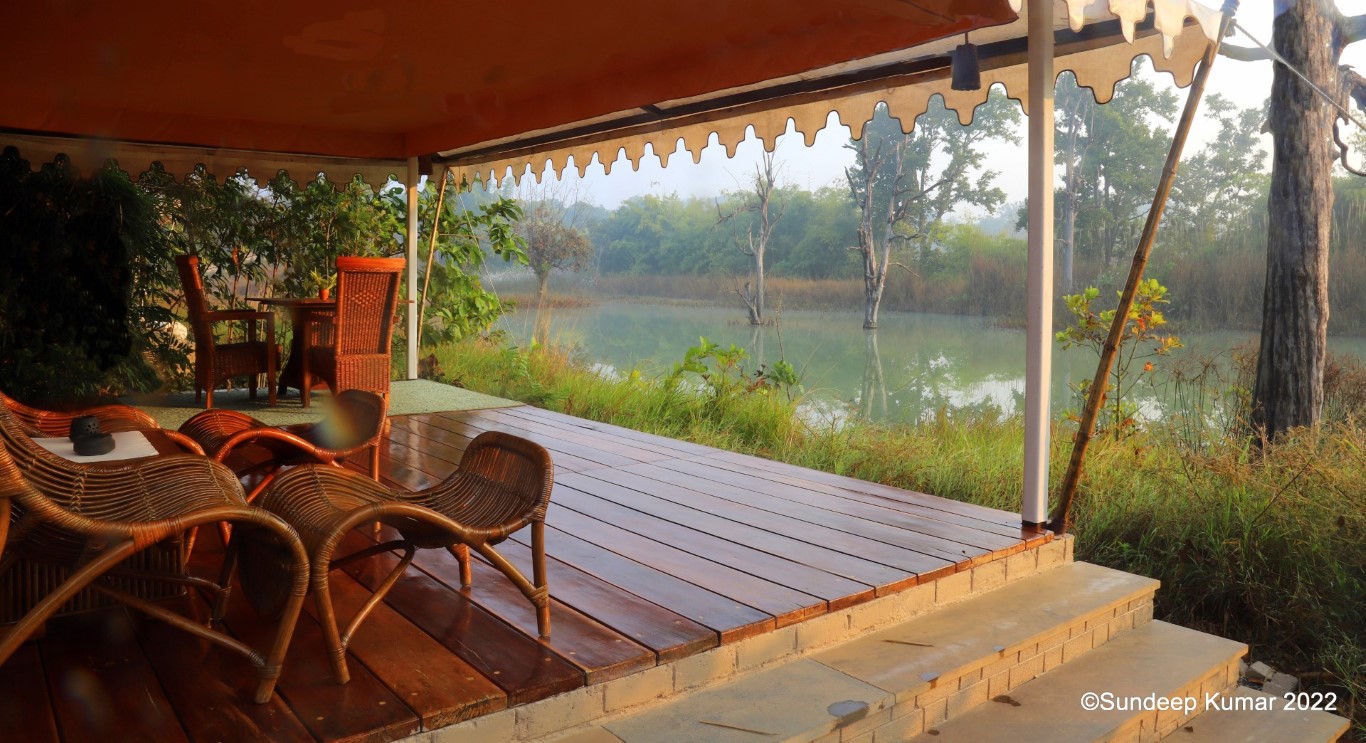 Visit to Bagh Villas: In Search of the Princeton Tiger in Kanha